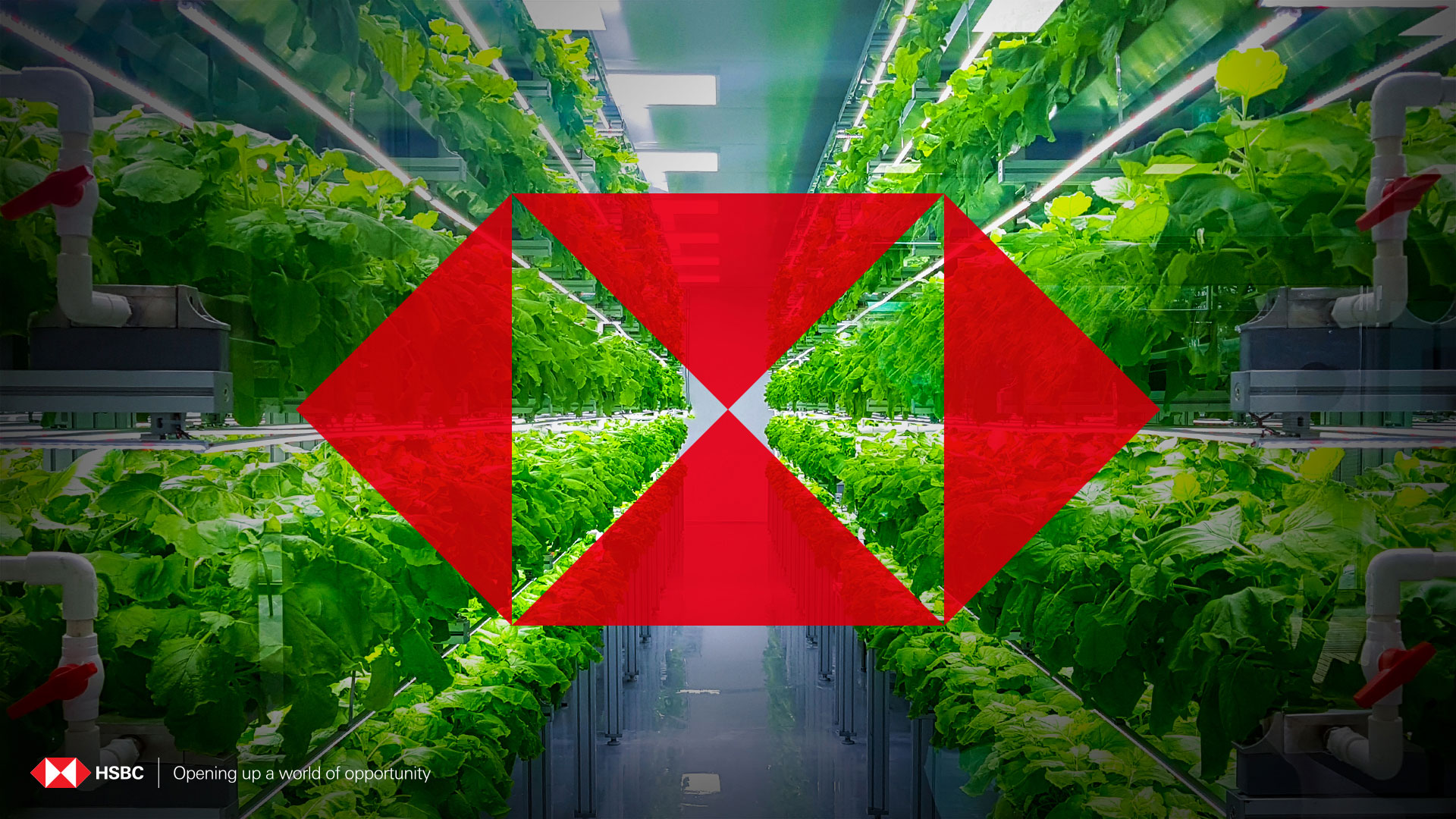 HSBC Business - Your partner for growth | HSBC Malta